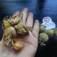 Натуральные продукты питания в интернет-магазине «Афлора» | Купить эко ...