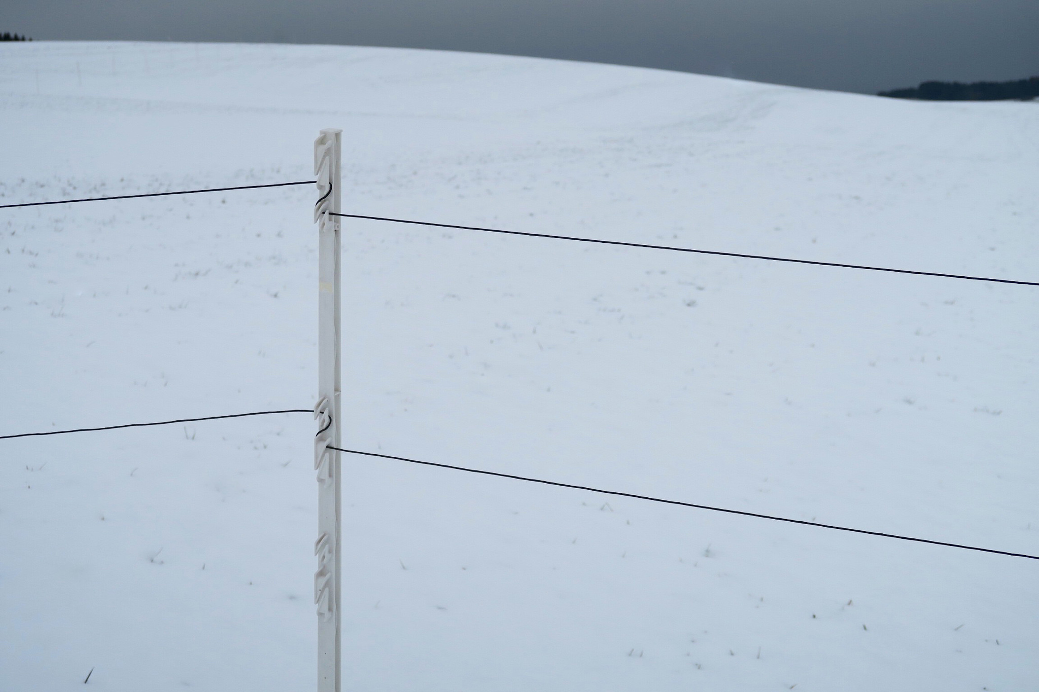 Reversible Beverage antenna, 800 Ohm open wire transmition line as ...